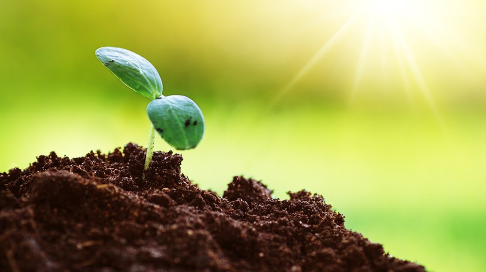 Spring Buying - get pre-approved now » Trigon Financial